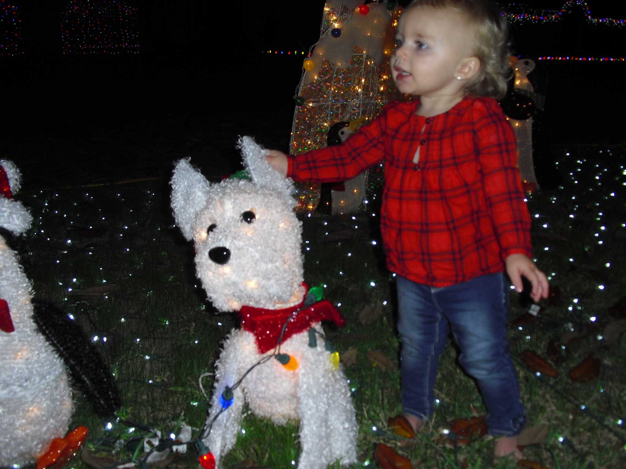 Hindt: KISD prepped for 'Plan B' rezoning if bond failed