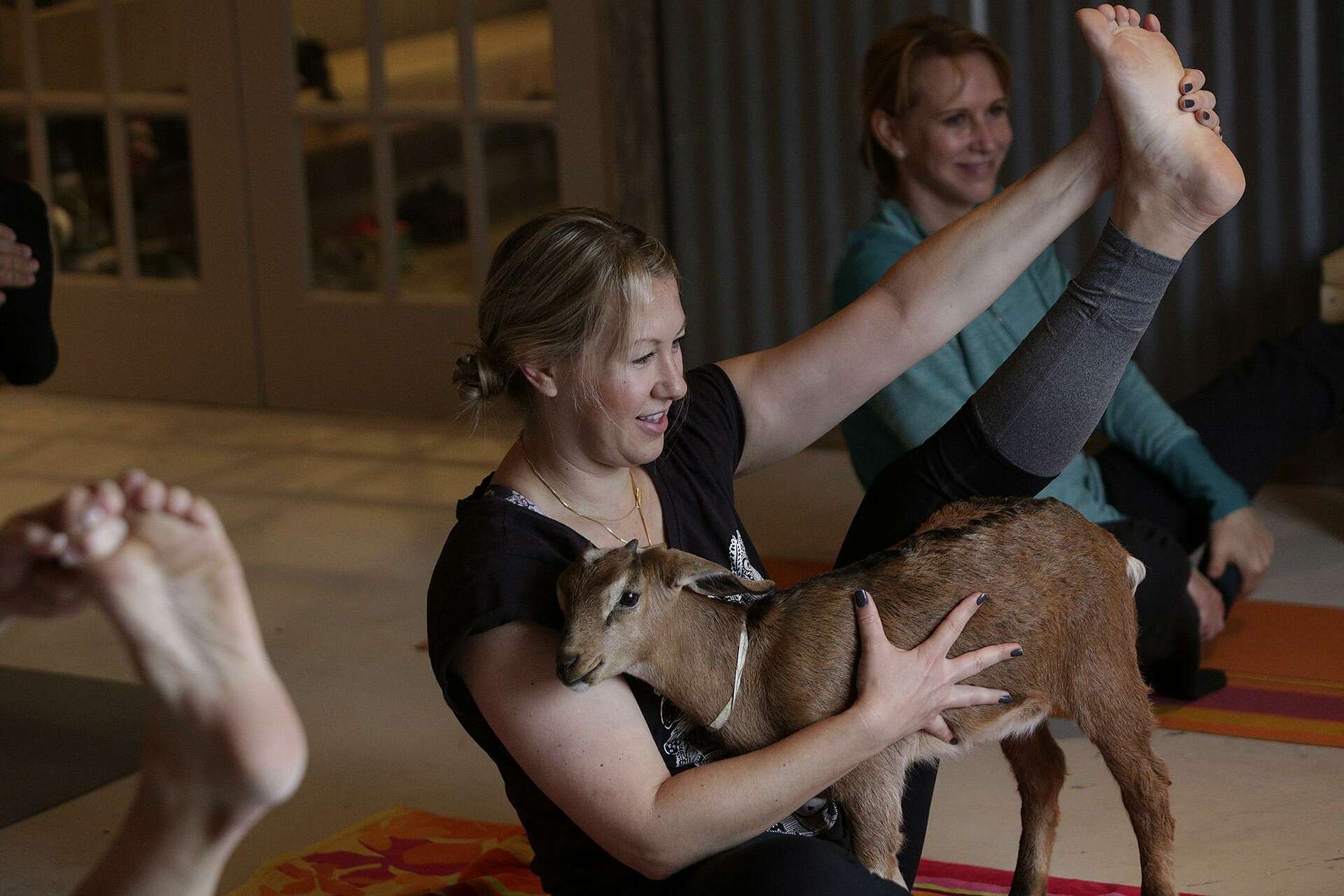 Mixing goats with yoga? Not baaad