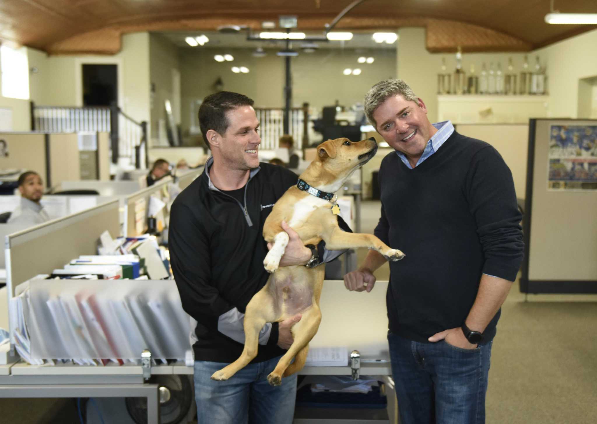 Greenwich lighting company envisions bright future