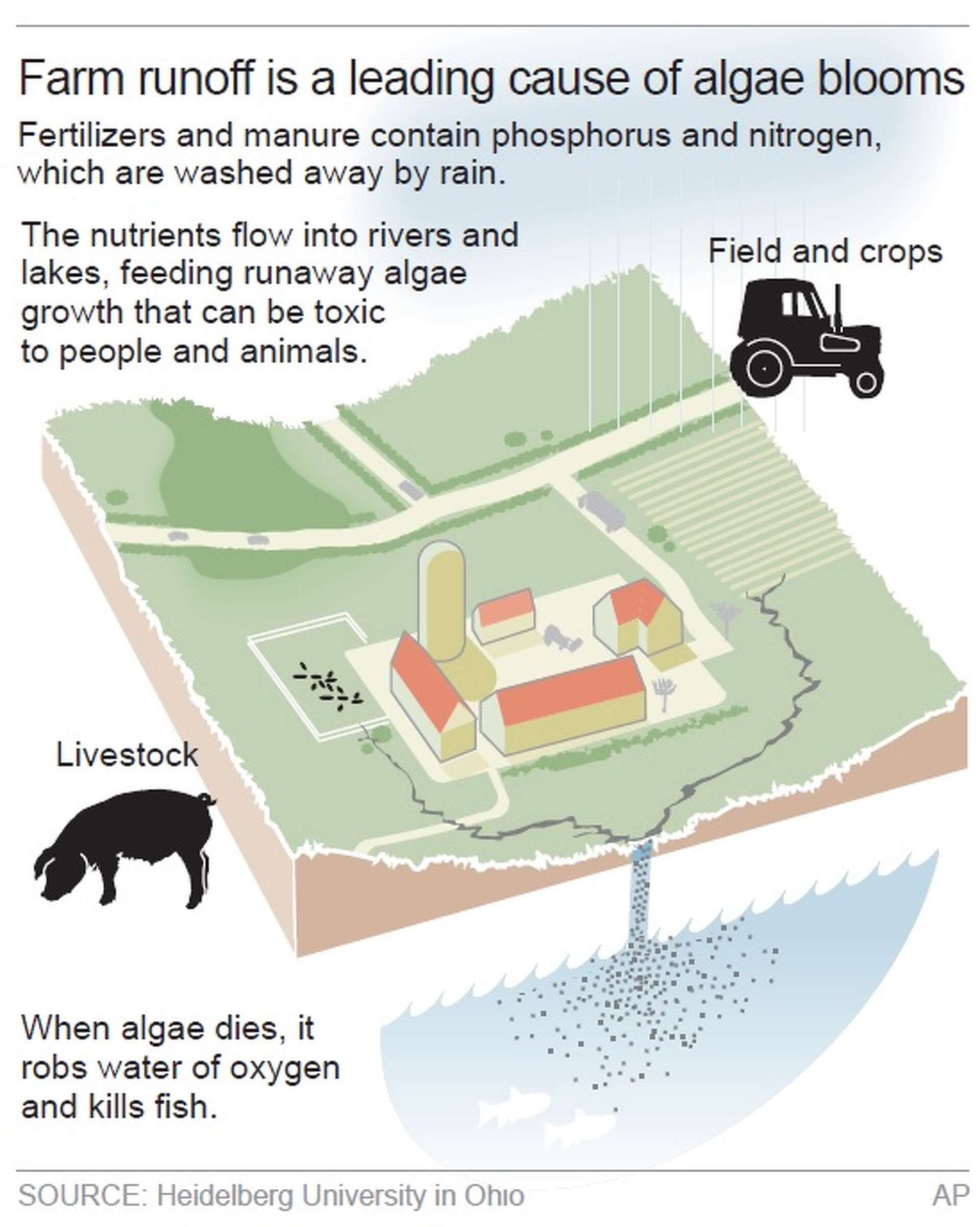 does phosphorus cause algae blooms