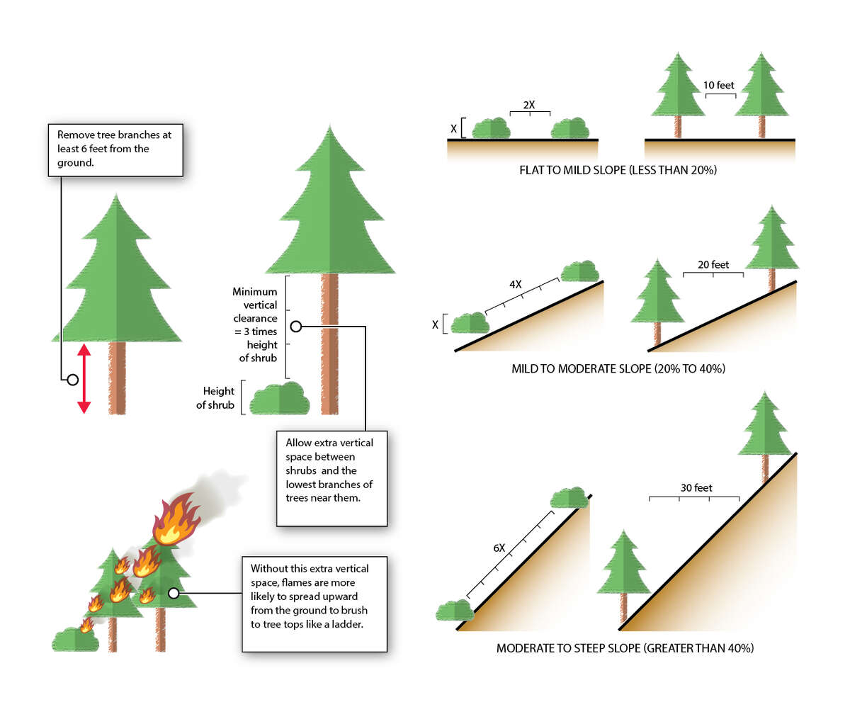 Protect your home from wildfire
