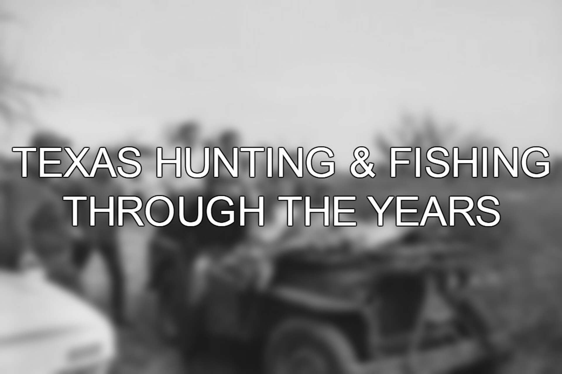 Texas whitetail poachers plead guilty to several charges after killing ...
