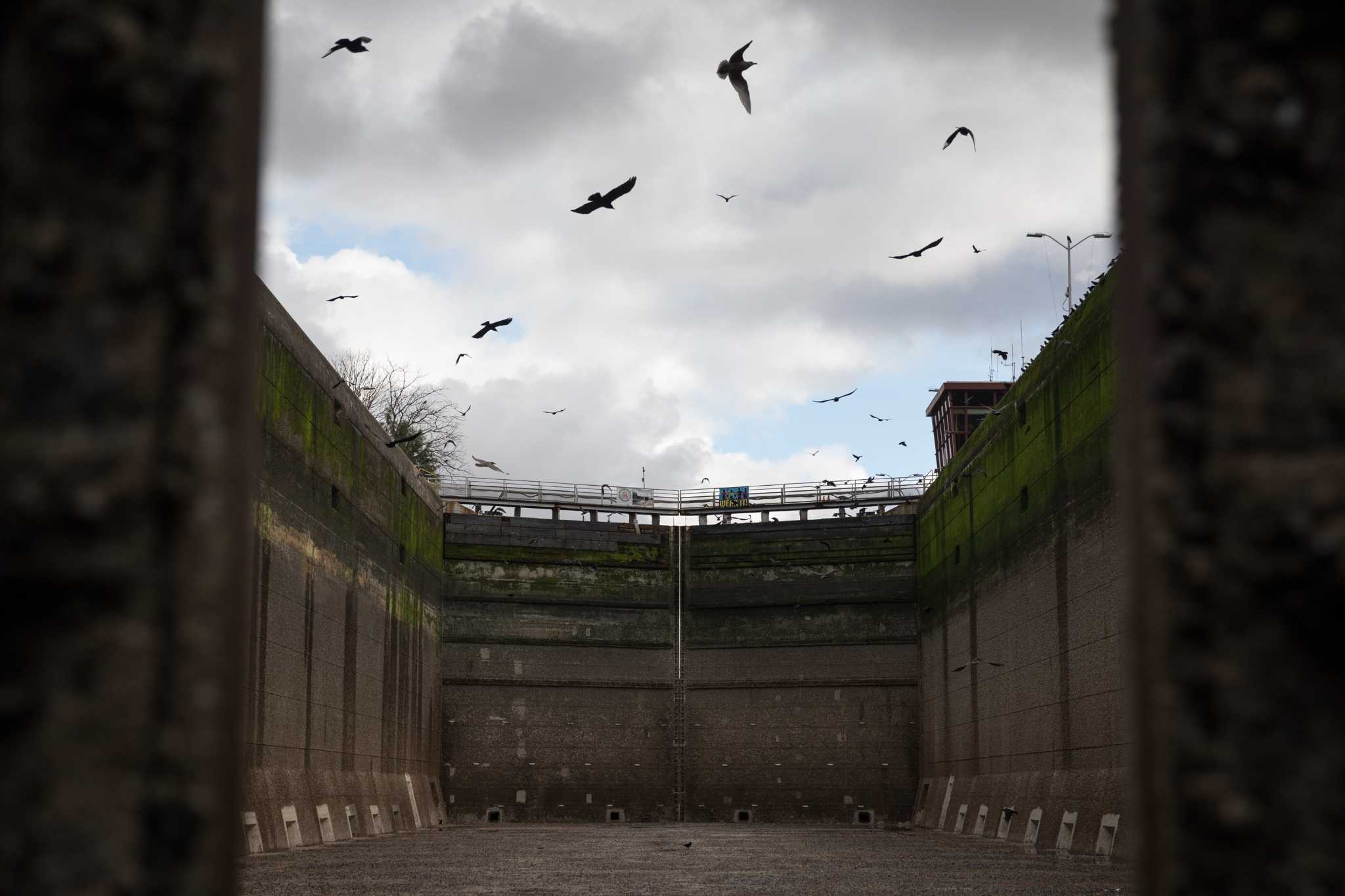Watch: A tour from the bottom of the Ballard Locks