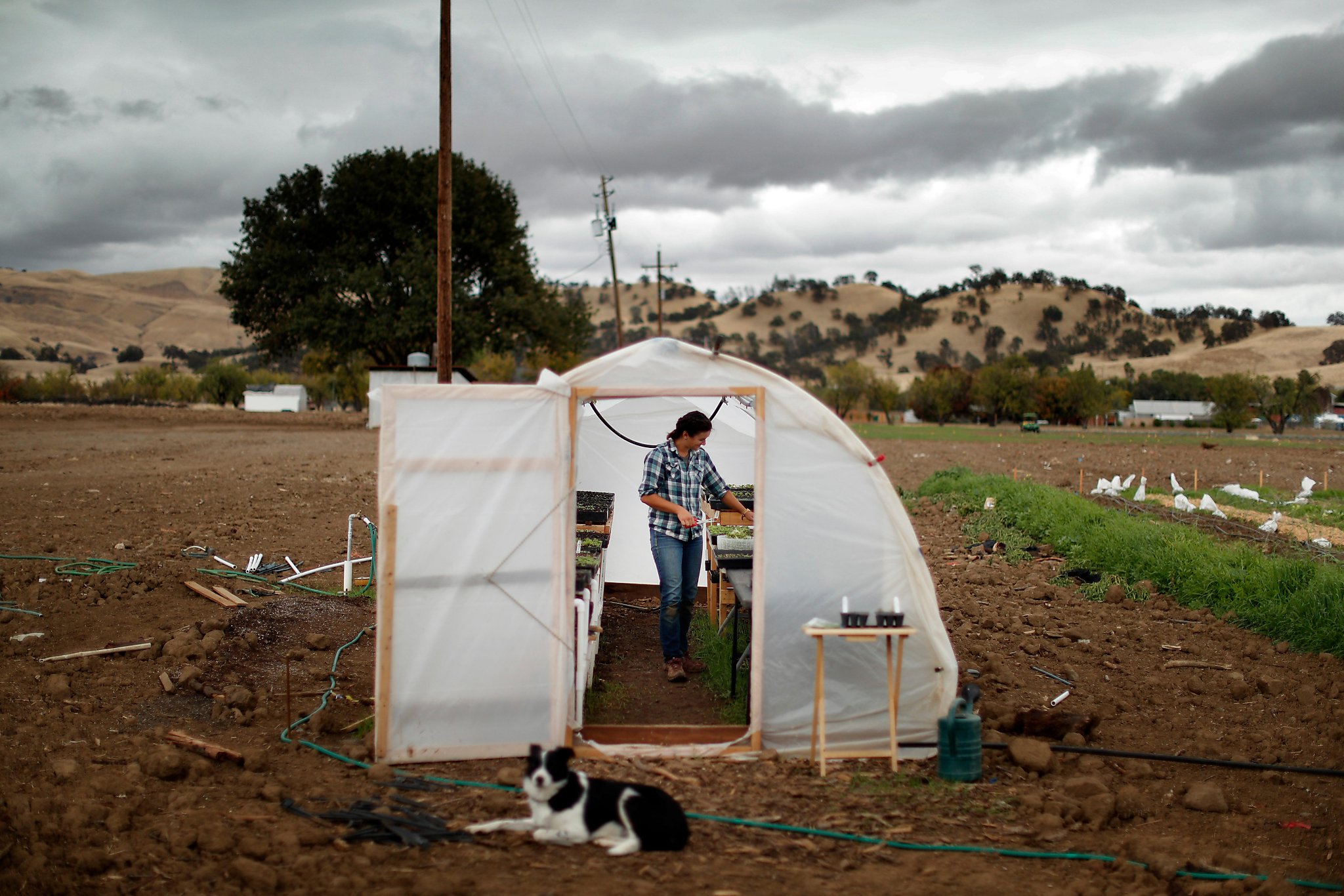 New farmers’ biggest challenge: Finding land to farm