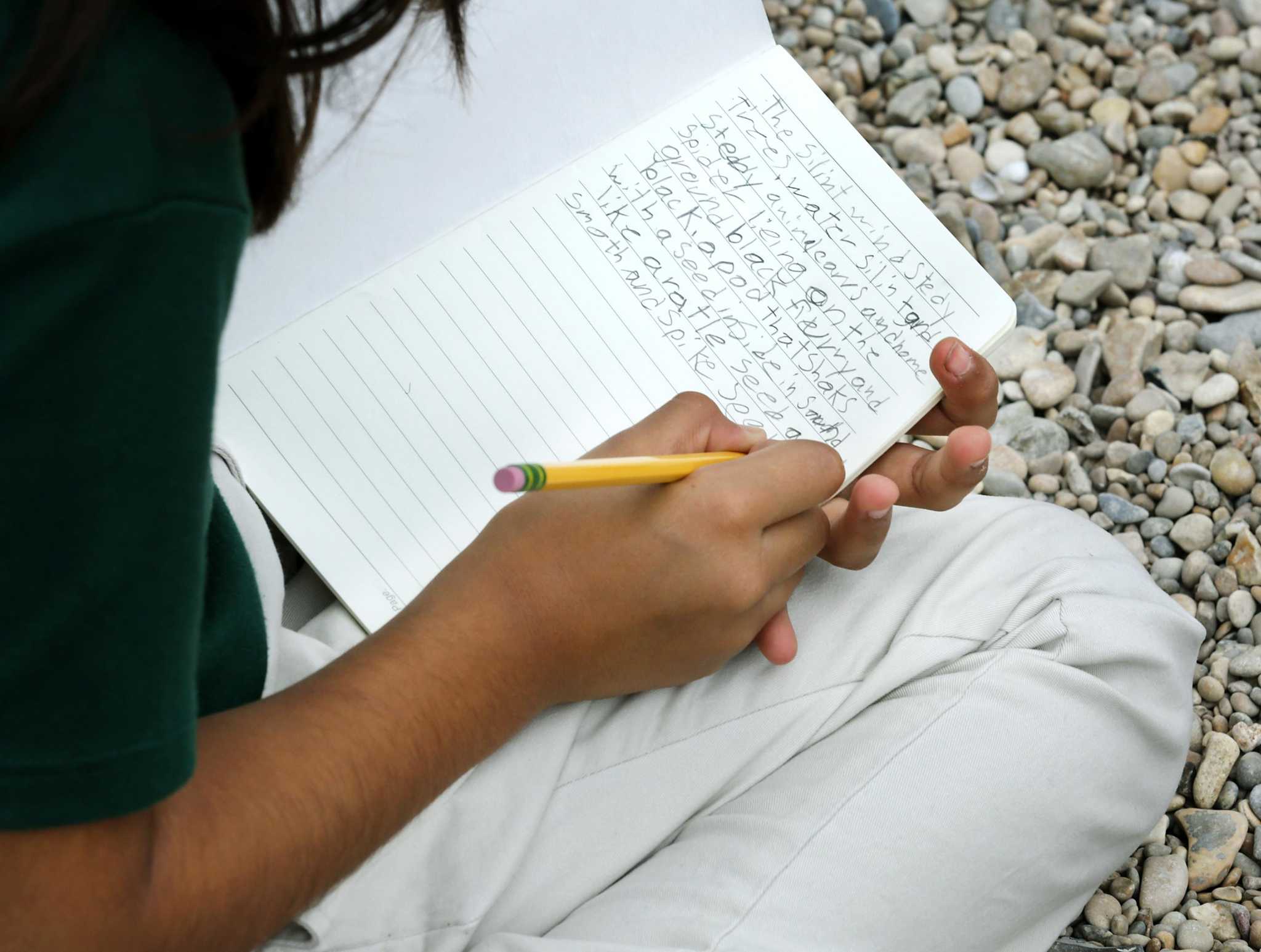 Pen to paint: Students’ reflections on nature will add to Alta Vista mural