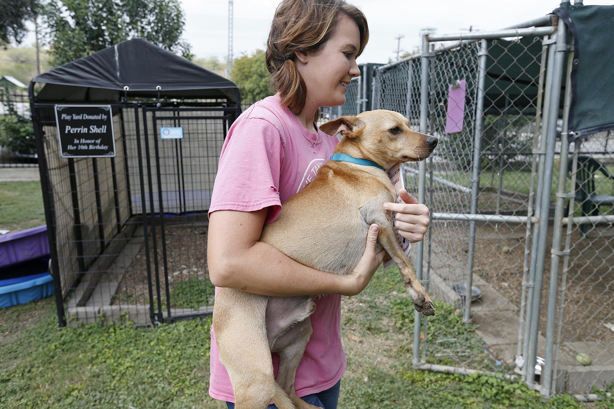 Owners can take care of their pets at event hosted by San Antonio ...