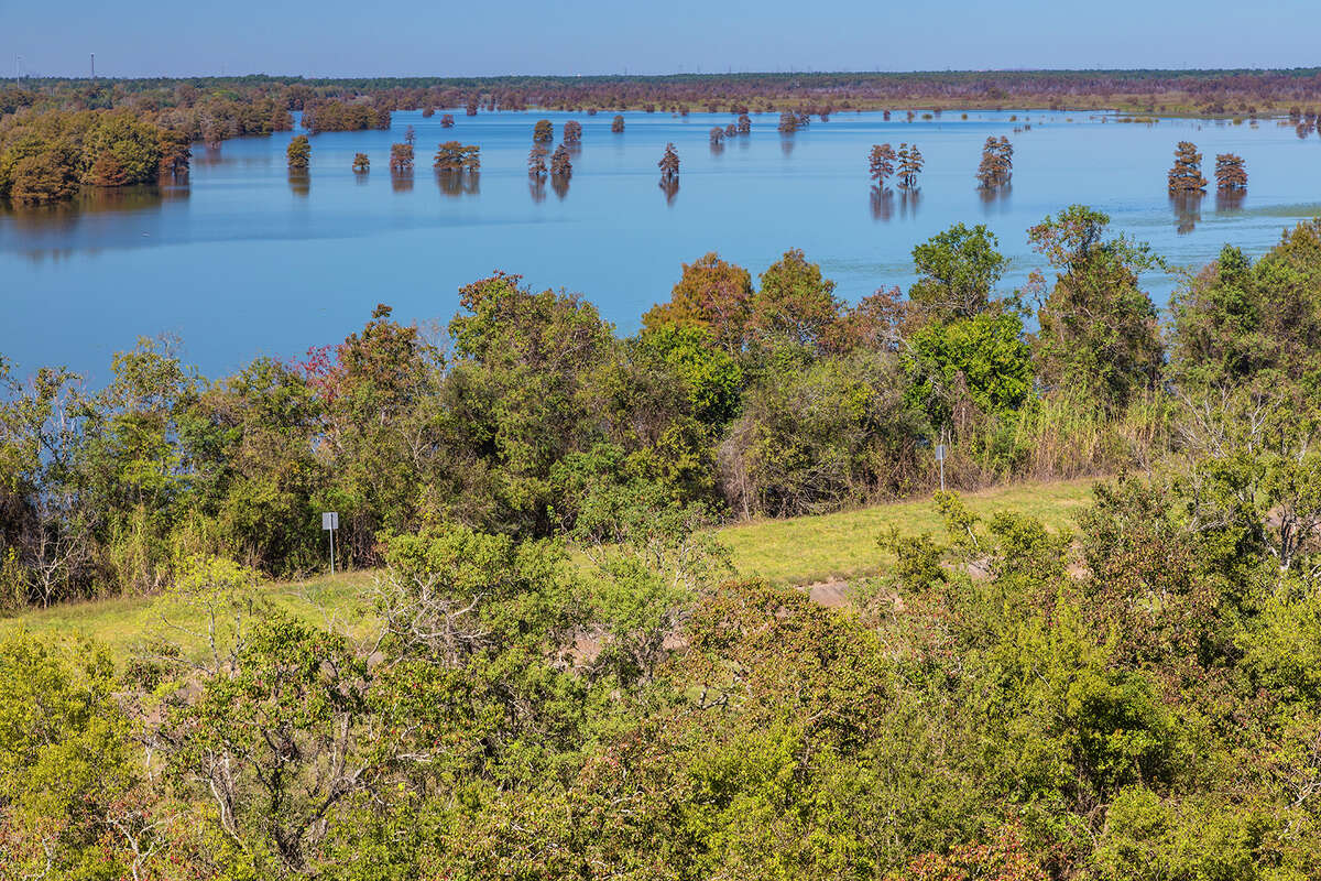 Sheldon Lake State Park offers birds a safe winter haven