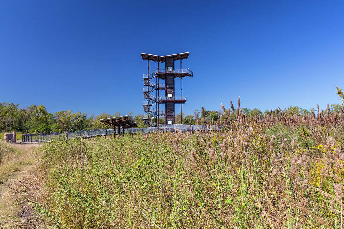 Sheldon Lake State Park offers birds a safe winter haven