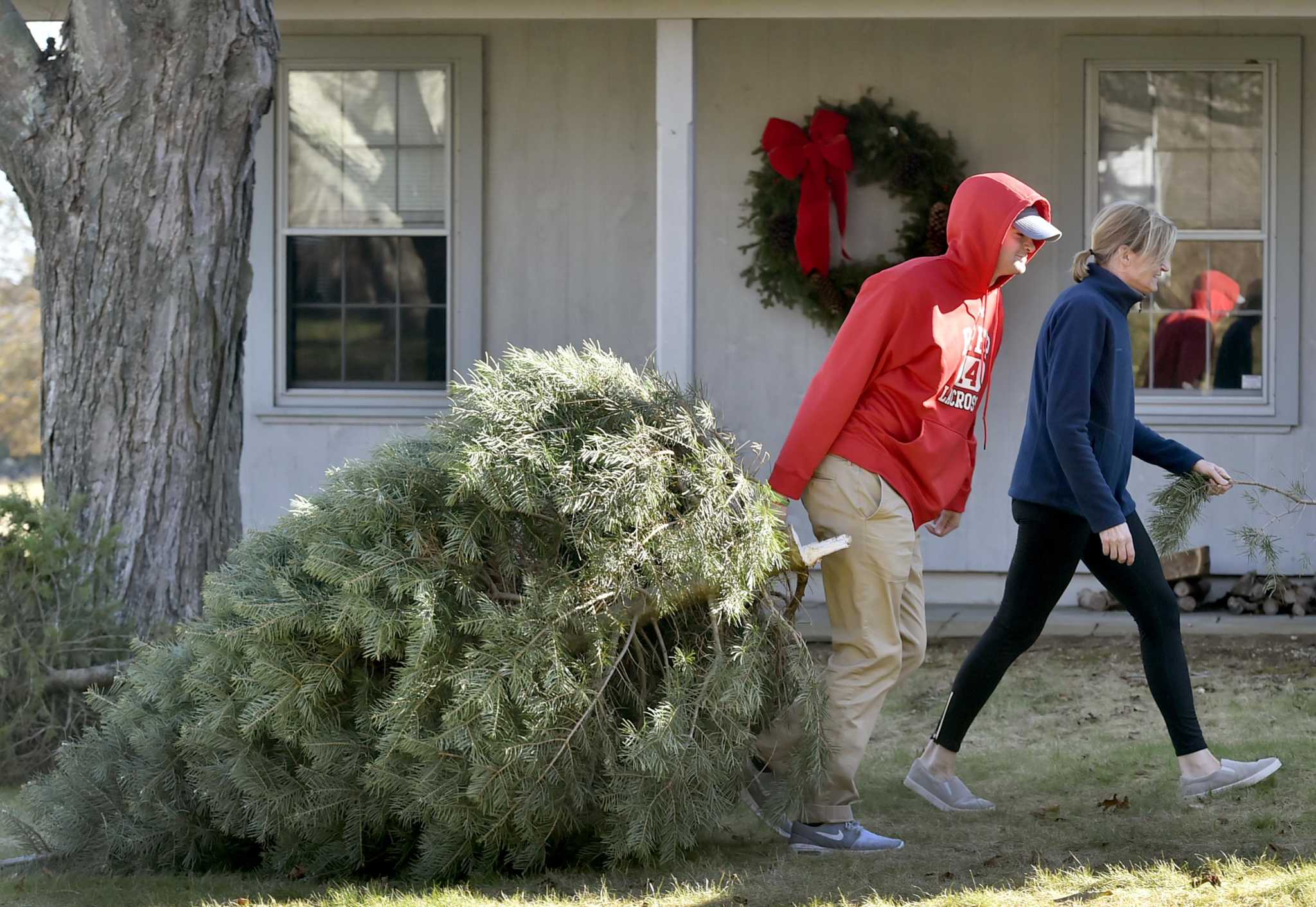 Turkish firs are big sellers as Christmas shoppers choose their trees