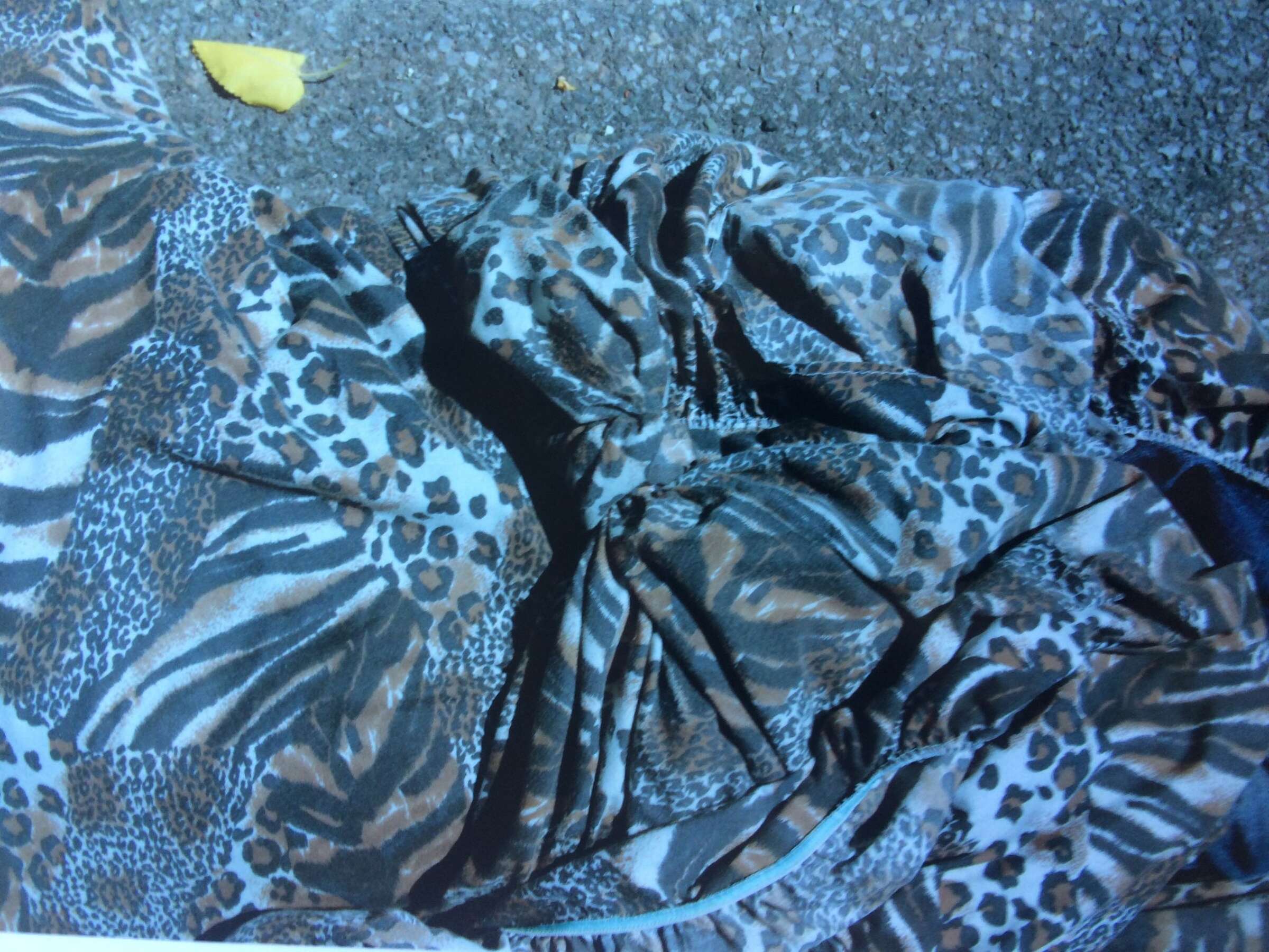 Cold case: Troopers need help solving 2005 killing