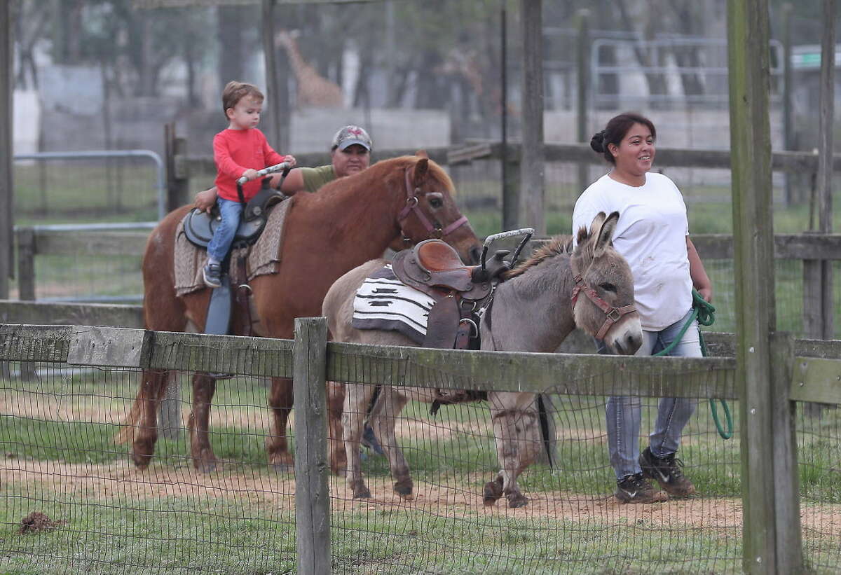 Inside the Bayou Wildlife Zoo