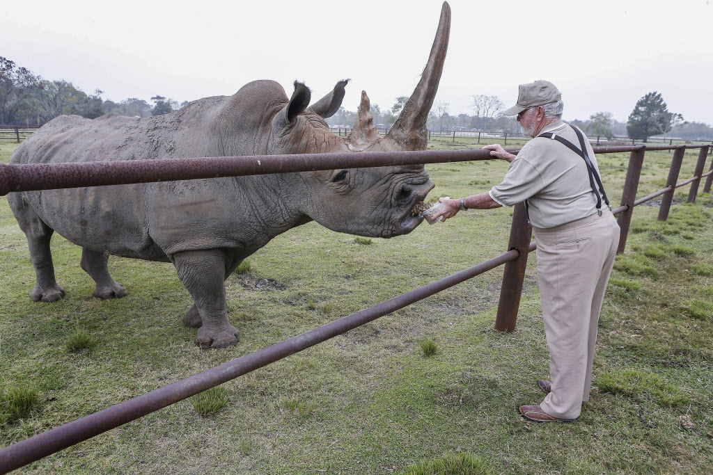 Inside the Bayou Wildlife Zoo