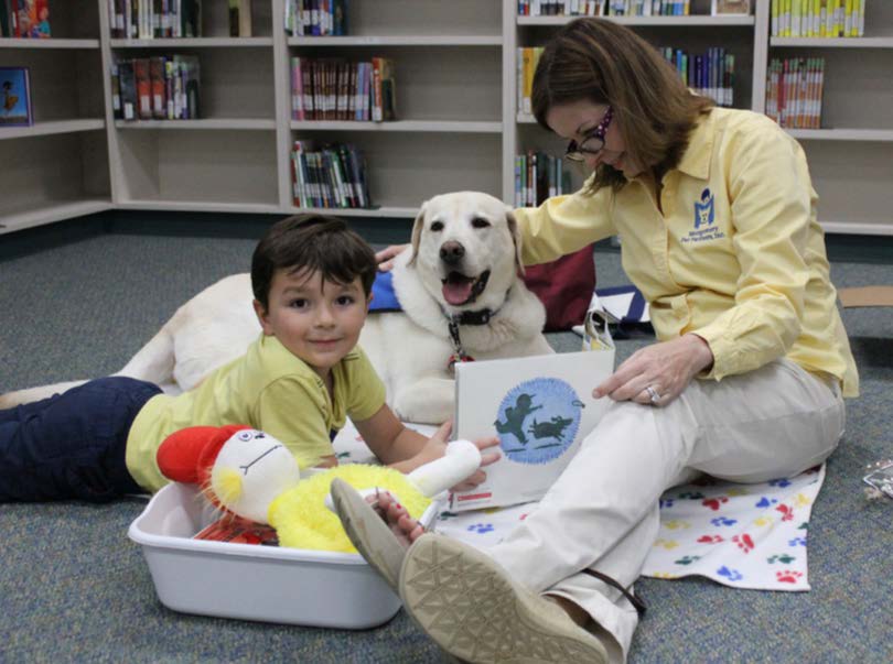 Children gain confidence by reading to dogs in South Regional Library ...