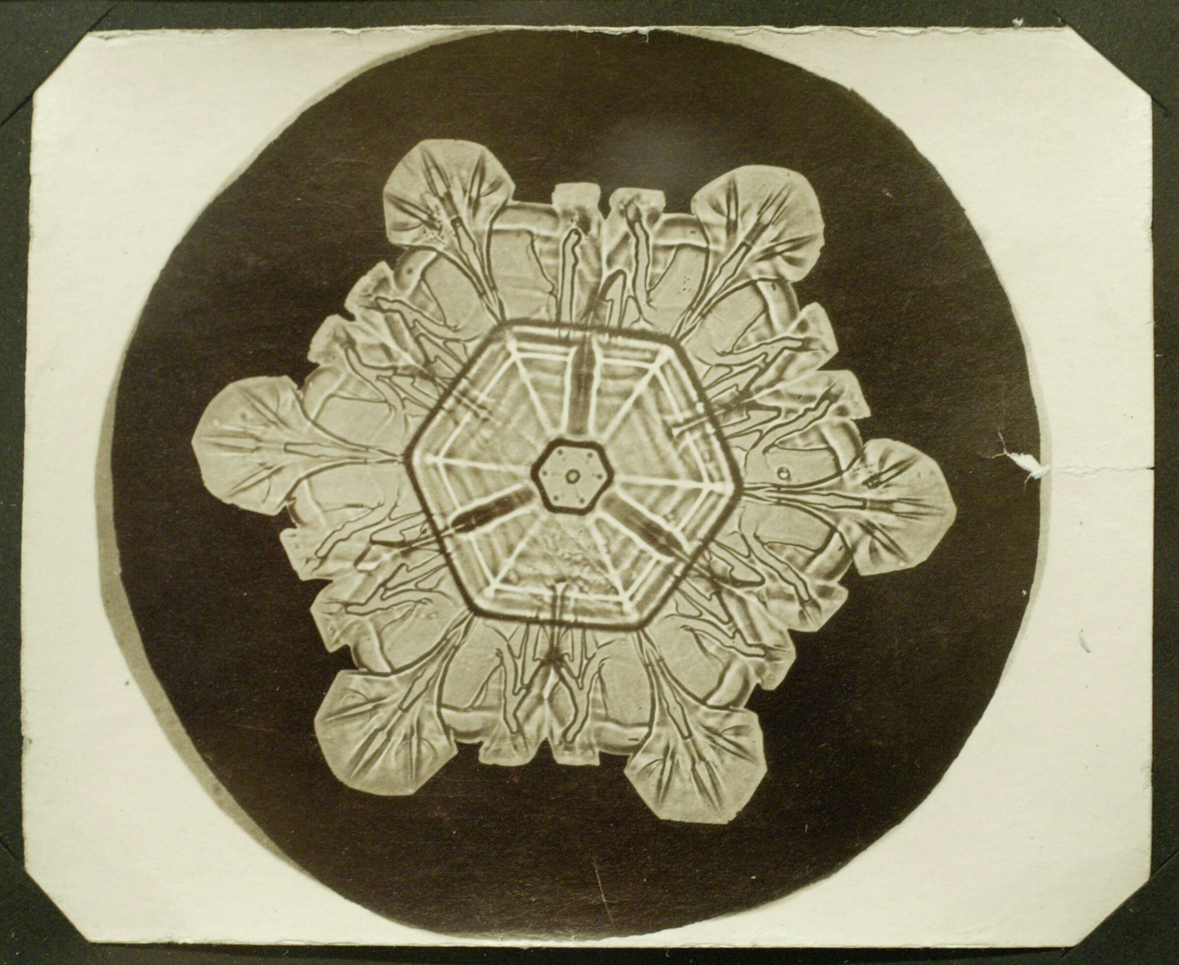 How a pioneer snowflake photographer captured photos before modern ...