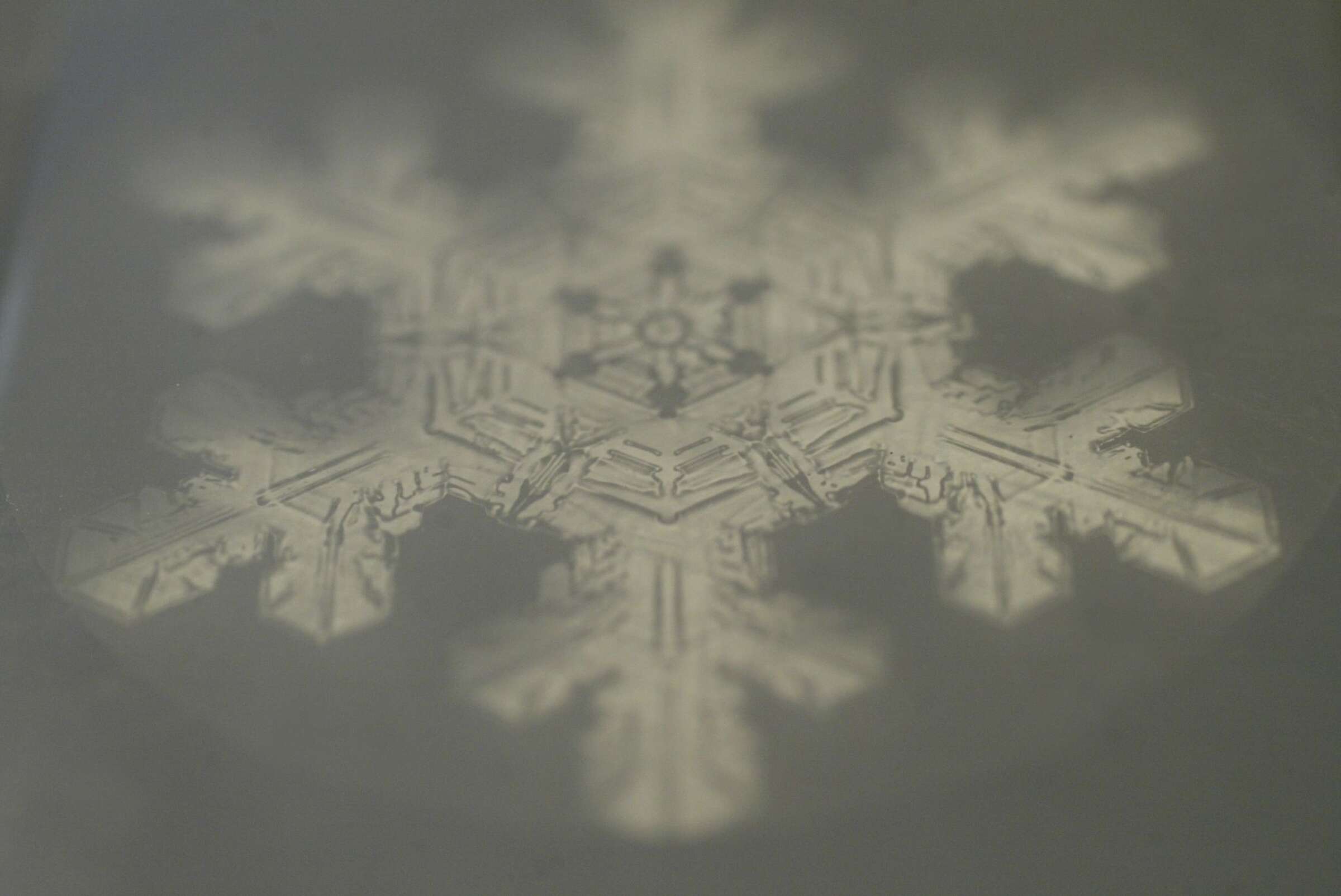How a pioneer snowflake photographer captured photos before modern ...
