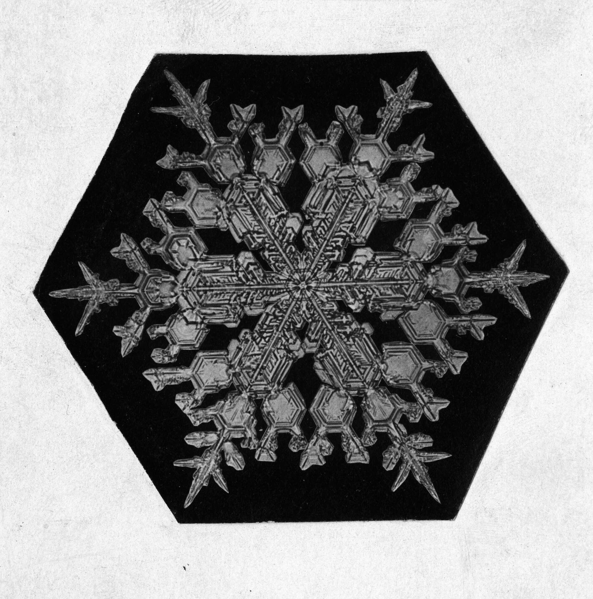 How a pioneer snowflake photographer captured photos before modern ...