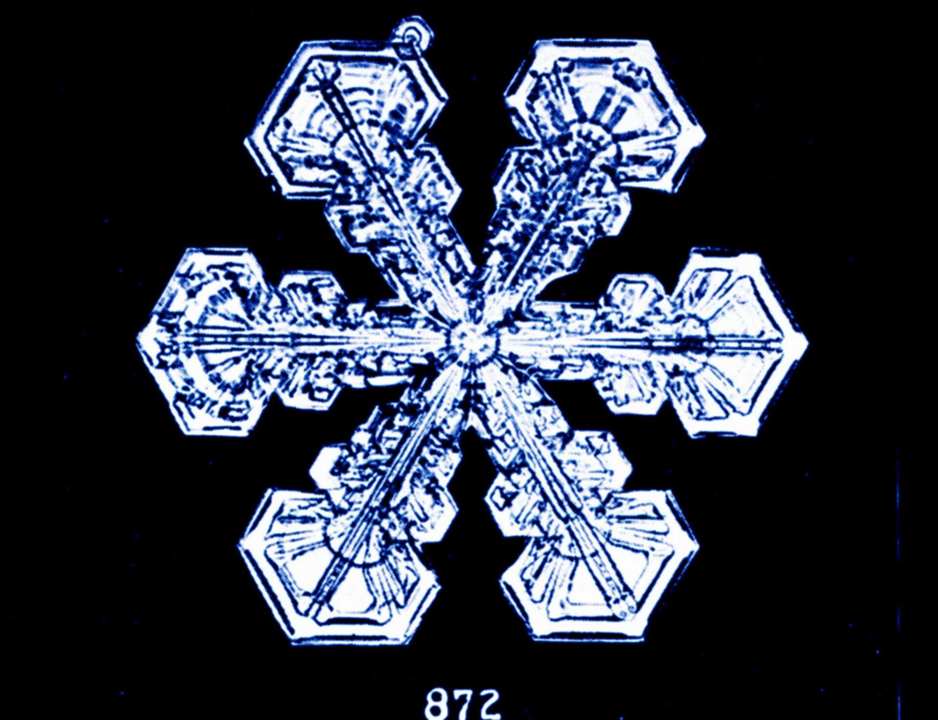 How a pioneer snowflake photographer captured photos before modern ...