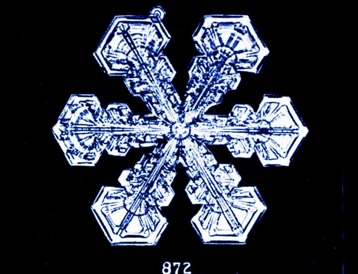 How a pioneer snowflake photographer captured photos before modern ...