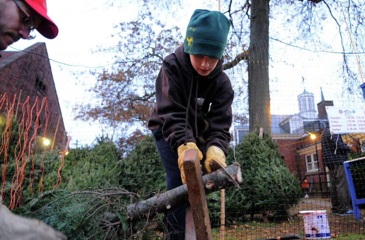 In Pictures: Scouts Hold Annual Christmas Tree Sale