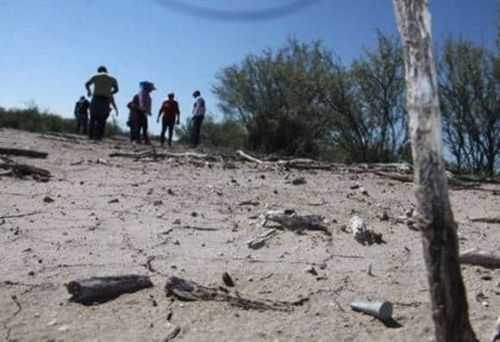Report: More than 3,000 skeletal remains discovered in Mexican state ...