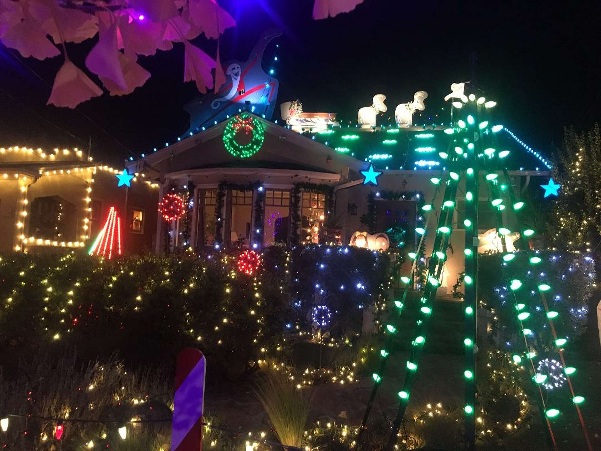 Where to see the best holiday lights in the Bay Area