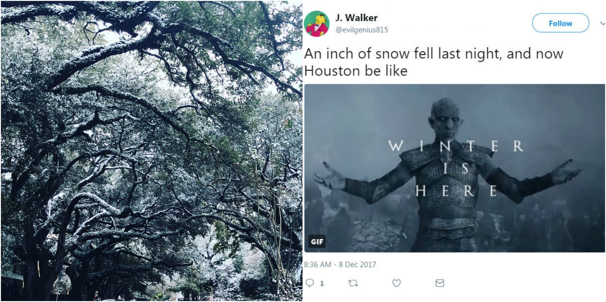 Snow in Houston has people busting out hilarious memes