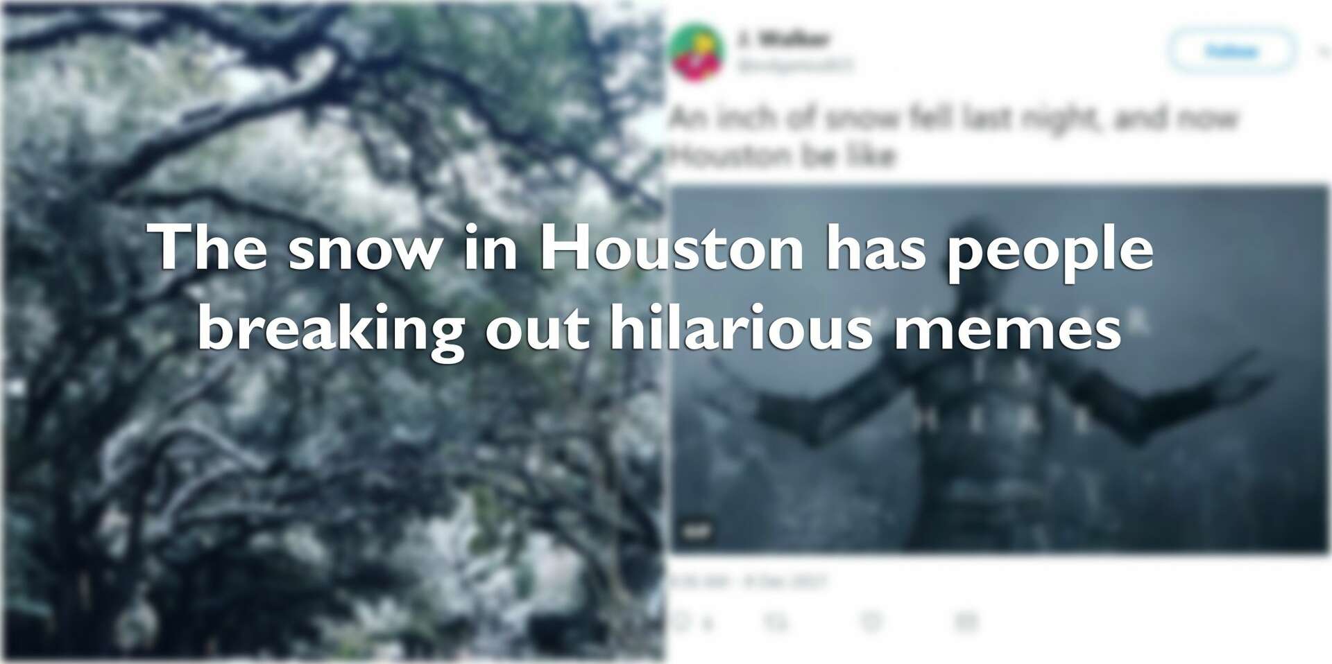 Houston Snow Memes