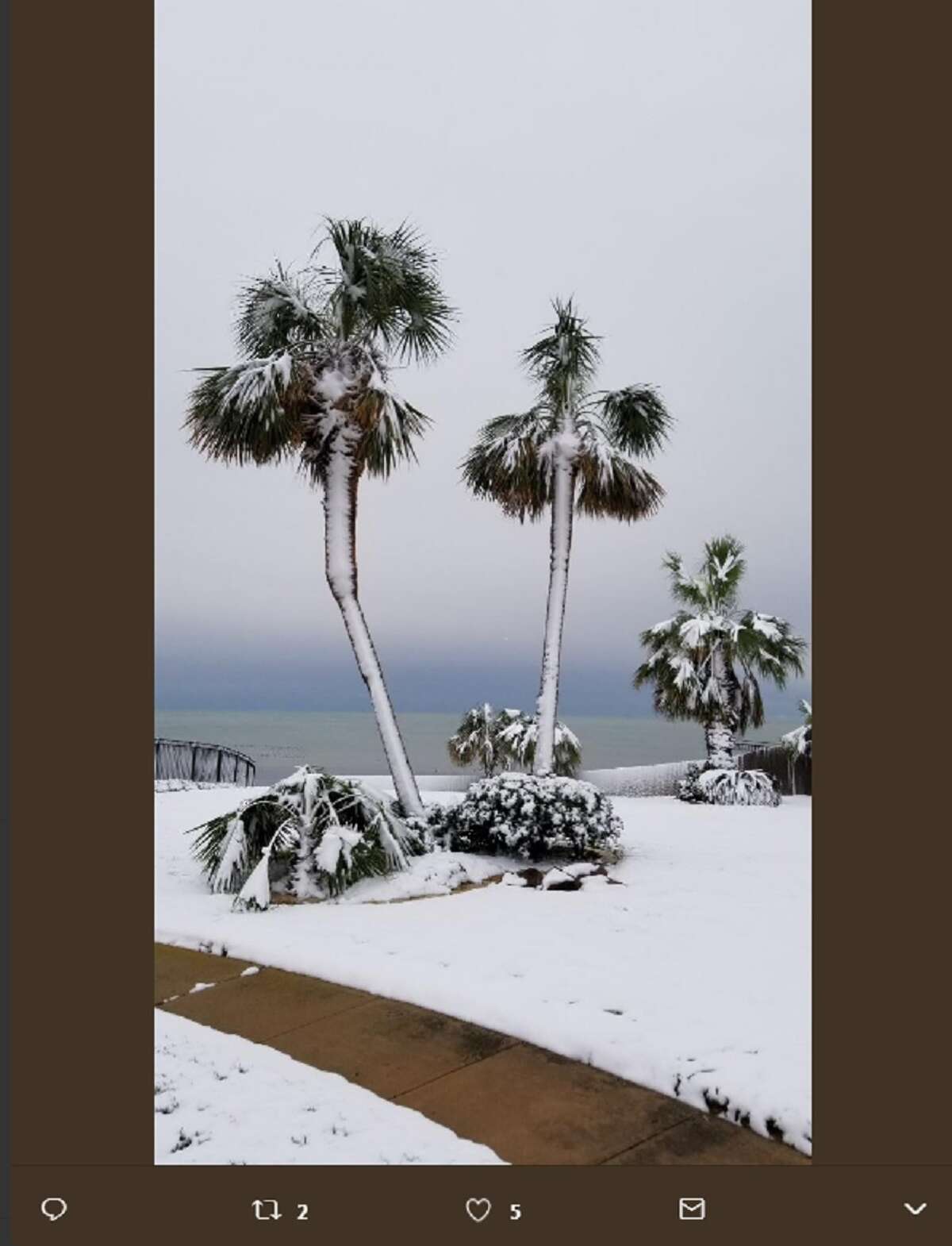Inches of snow dump on Texas Gulf Coast, Padre Island beaches, palm trees