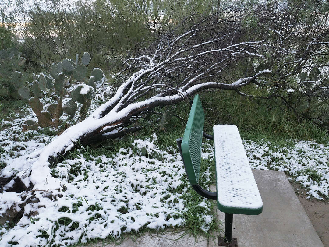 The 5 coldest days in Laredo history