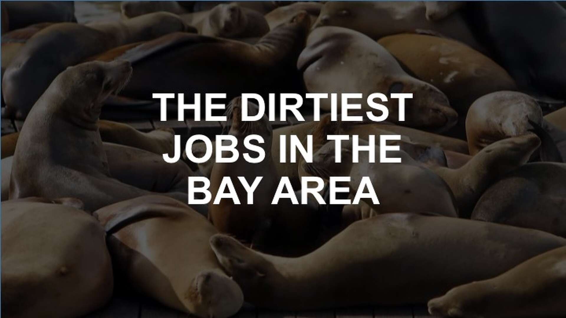 Roll up your sleeves for the dirtiest jobs in the Bay Area