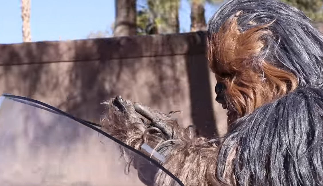WATCH: Chewbacca almost gets arrested in Las Vegas