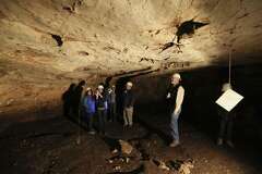 Friesenhahn Cave just outside S.A. yielded treasure trove of Ice Age ...