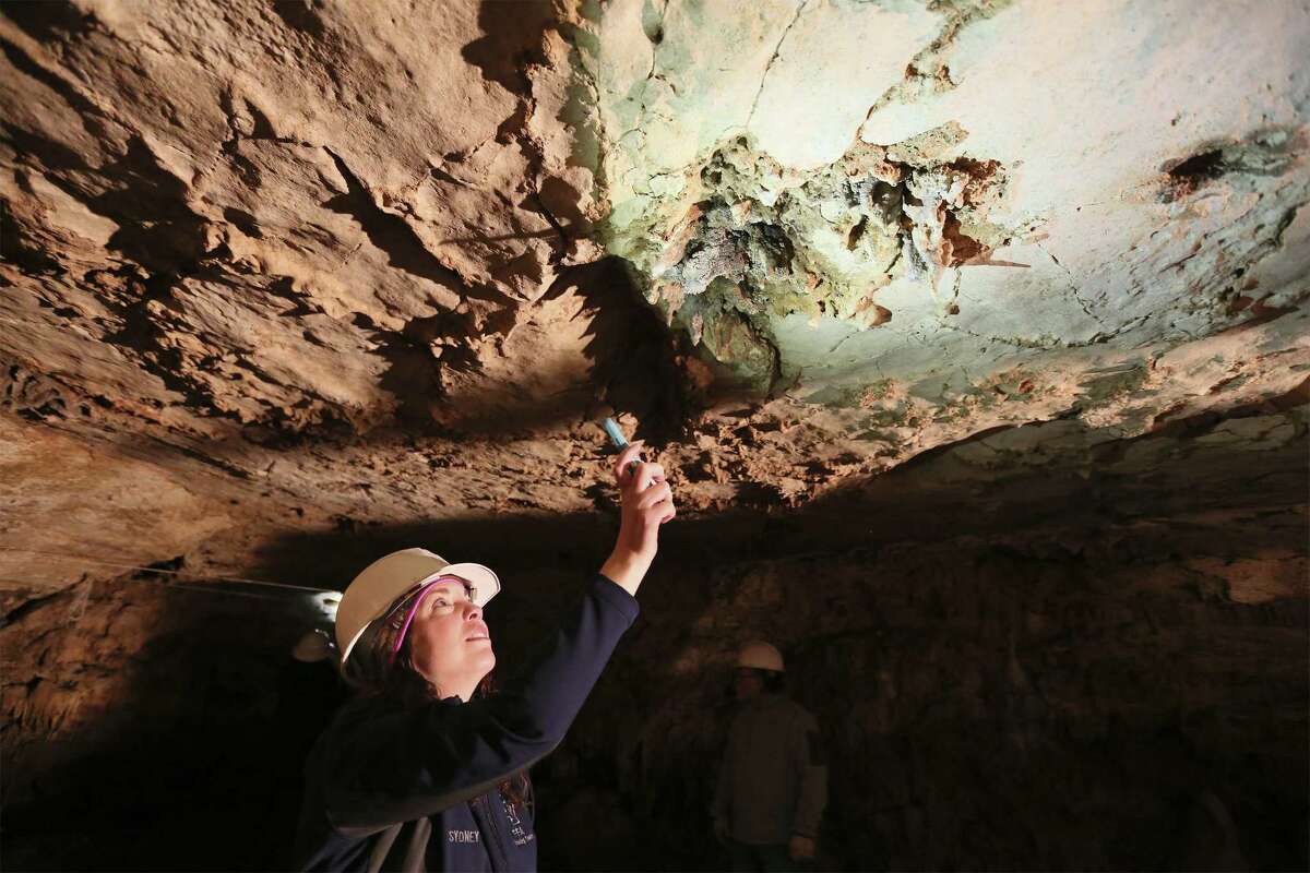 Friesenhahn Cave just outside S.A. yielded treasure trove of Ice Age ...