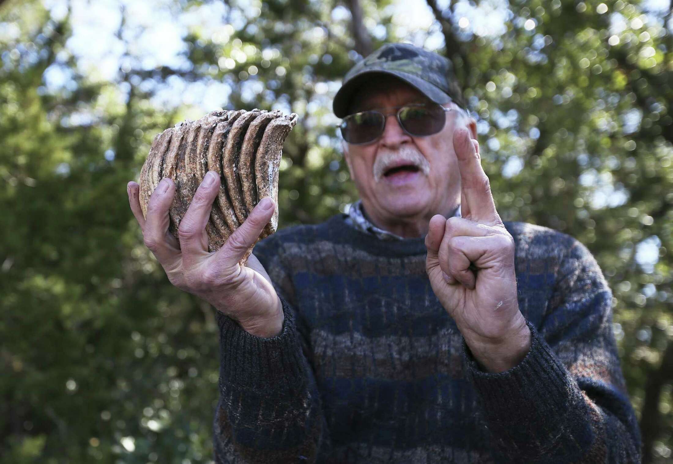 Friesenhahn Cave just outside S.A. yielded treasure trove of Ice Age ...