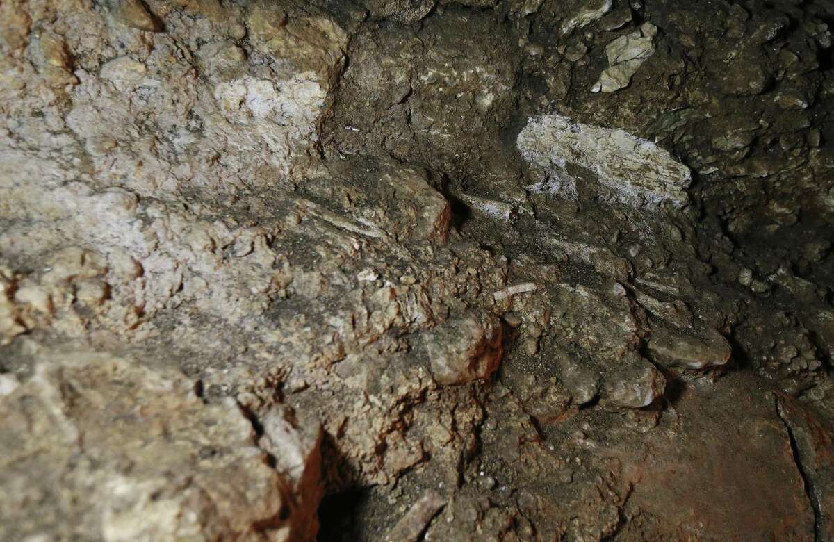 Friesenhahn Cave just outside S.A. yielded treasure trove of Ice Age ...