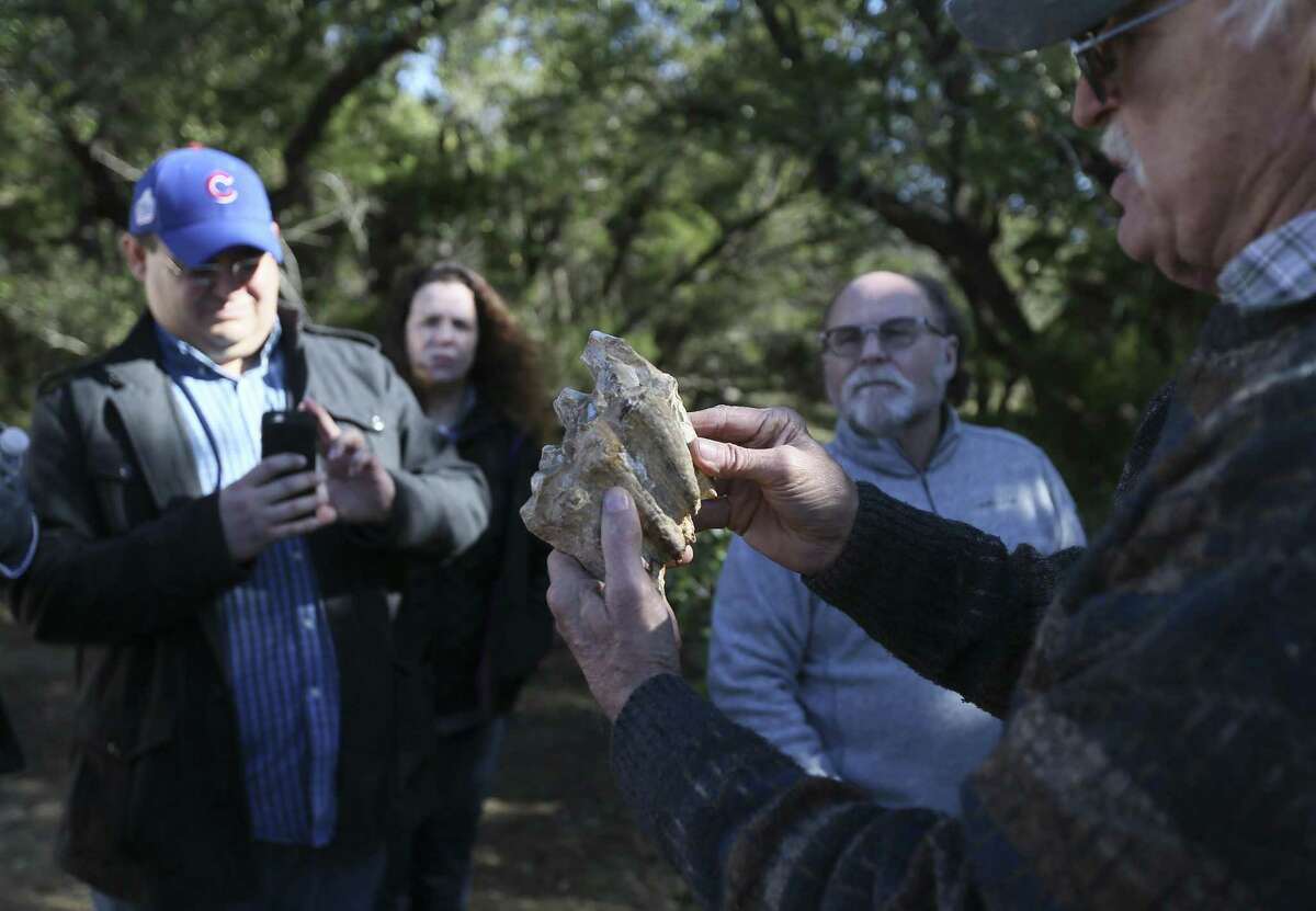 Friesenhahn Cave just outside S.A. yielded treasure trove of Ice Age ...