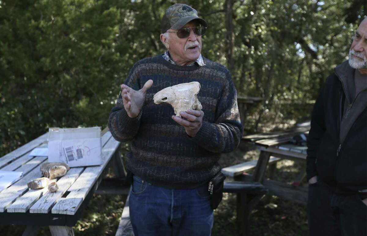 Friesenhahn Cave just outside S.A. yielded treasure trove of Ice Age ...