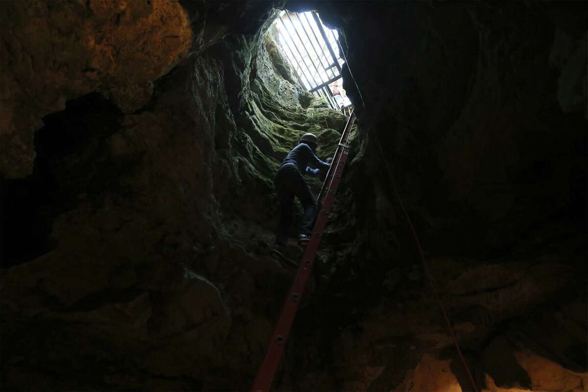 Friesenhahn Cave just outside S.A. yielded treasure trove of Ice Age ...