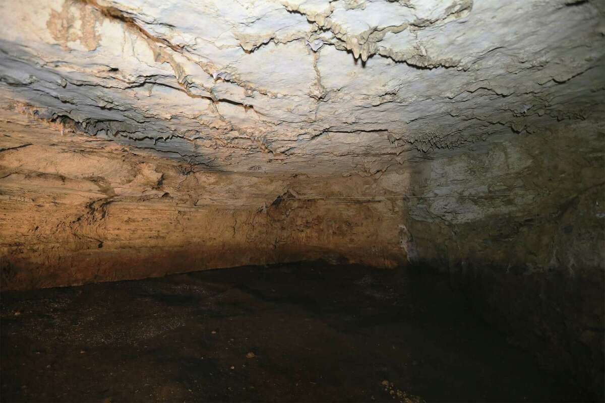 Friesenhahn Cave just outside S.A. yielded treasure trove of Ice Age ...