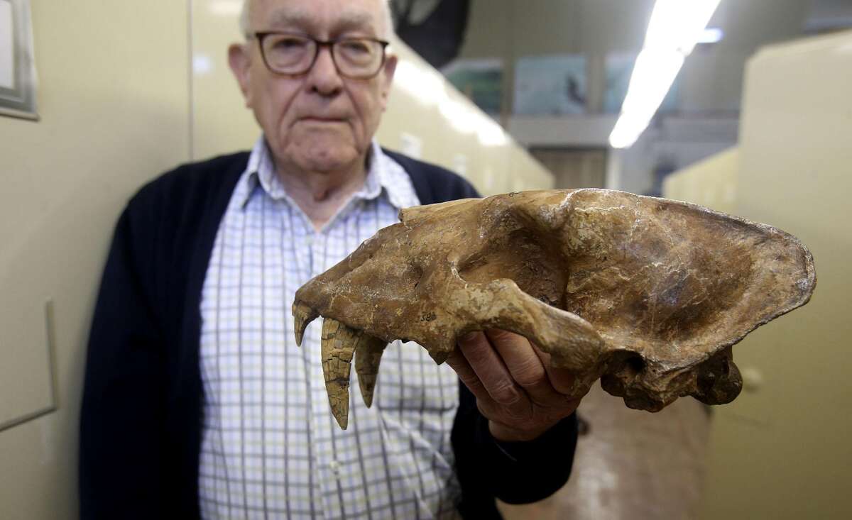 Friesenhahn Cave just outside S.A. yielded treasure trove of Ice Age ...