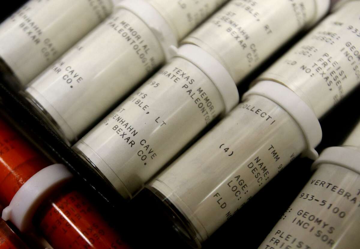 Friesenhahn Cave just outside S.A. yielded treasure trove of Ice Age ...