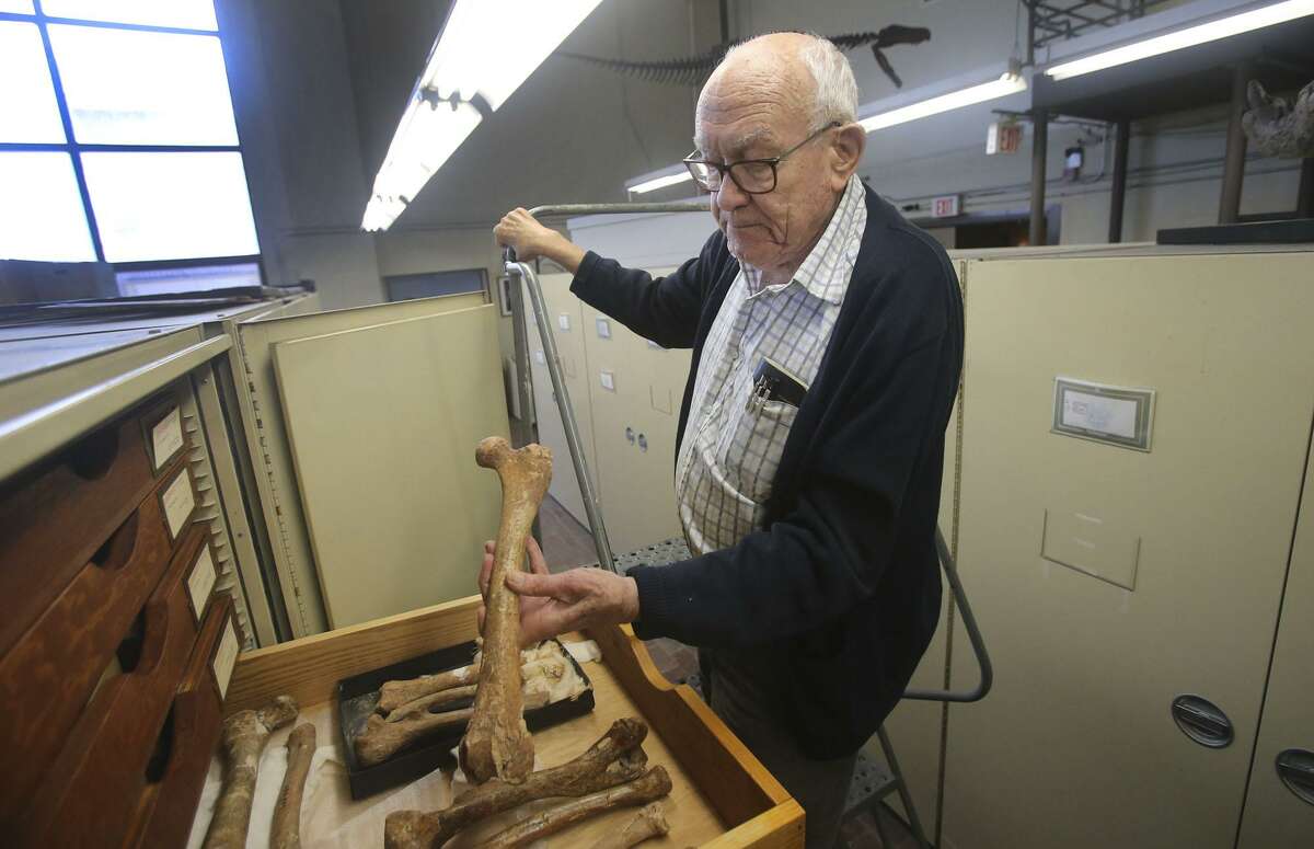 Friesenhahn Cave just outside S.A. yielded treasure trove of Ice Age ...