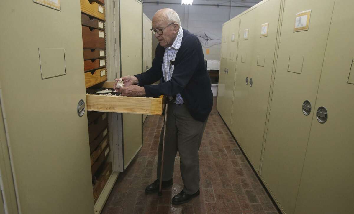 Friesenhahn Cave just outside S.A. yielded treasure trove of Ice Age ...