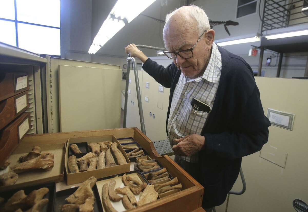 Friesenhahn Cave just outside S.A. yielded treasure trove of Ice Age ...