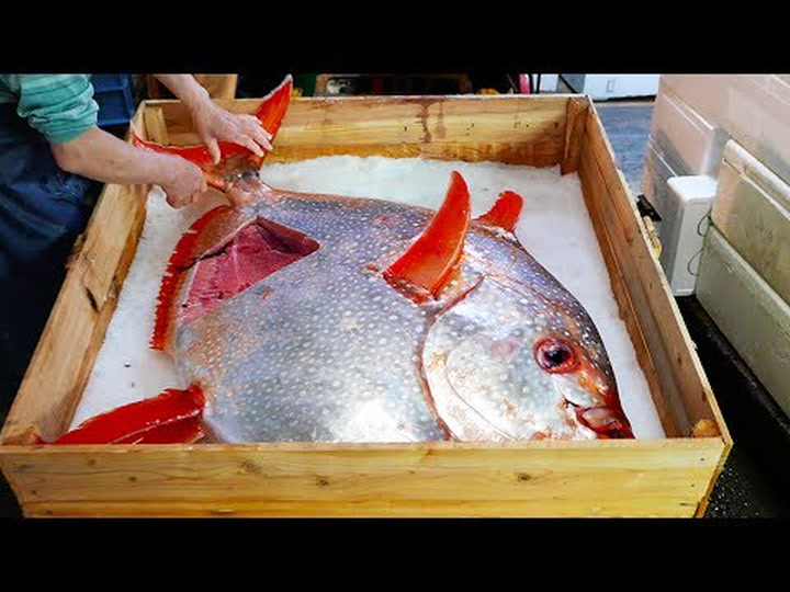 These Russian fish look like something straight out of science fiction