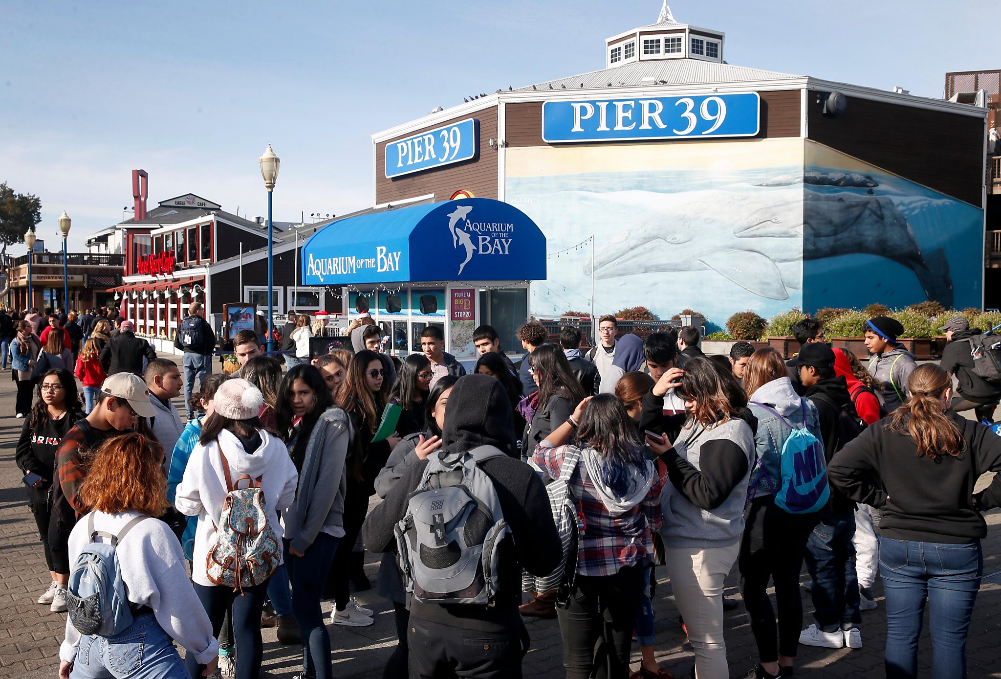 Terror plot on SF’s Pier 39 lands Modesto man 15 years in prison