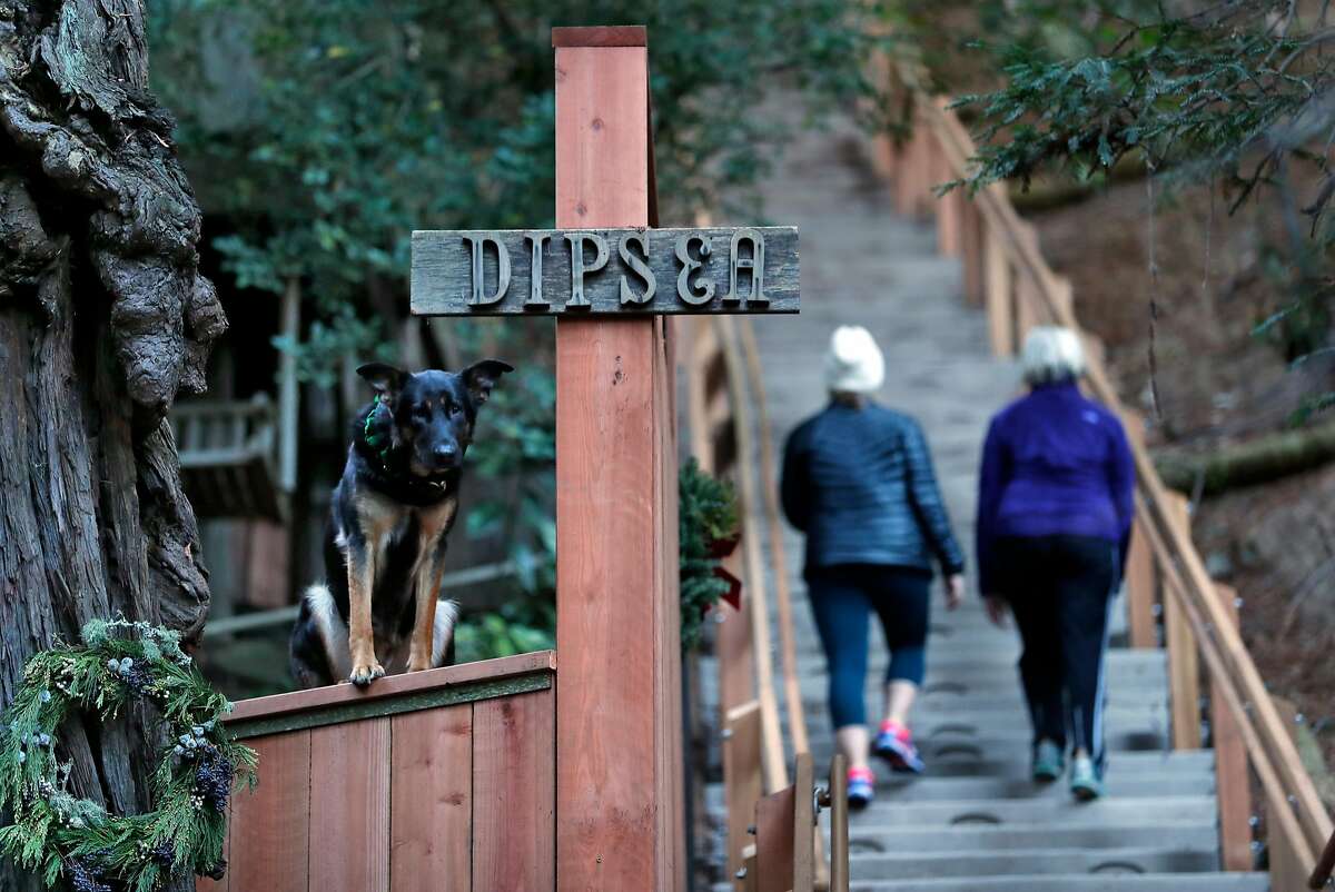 Mill Valley’s grueling Dipsea Stairs ready for footrace after renovation