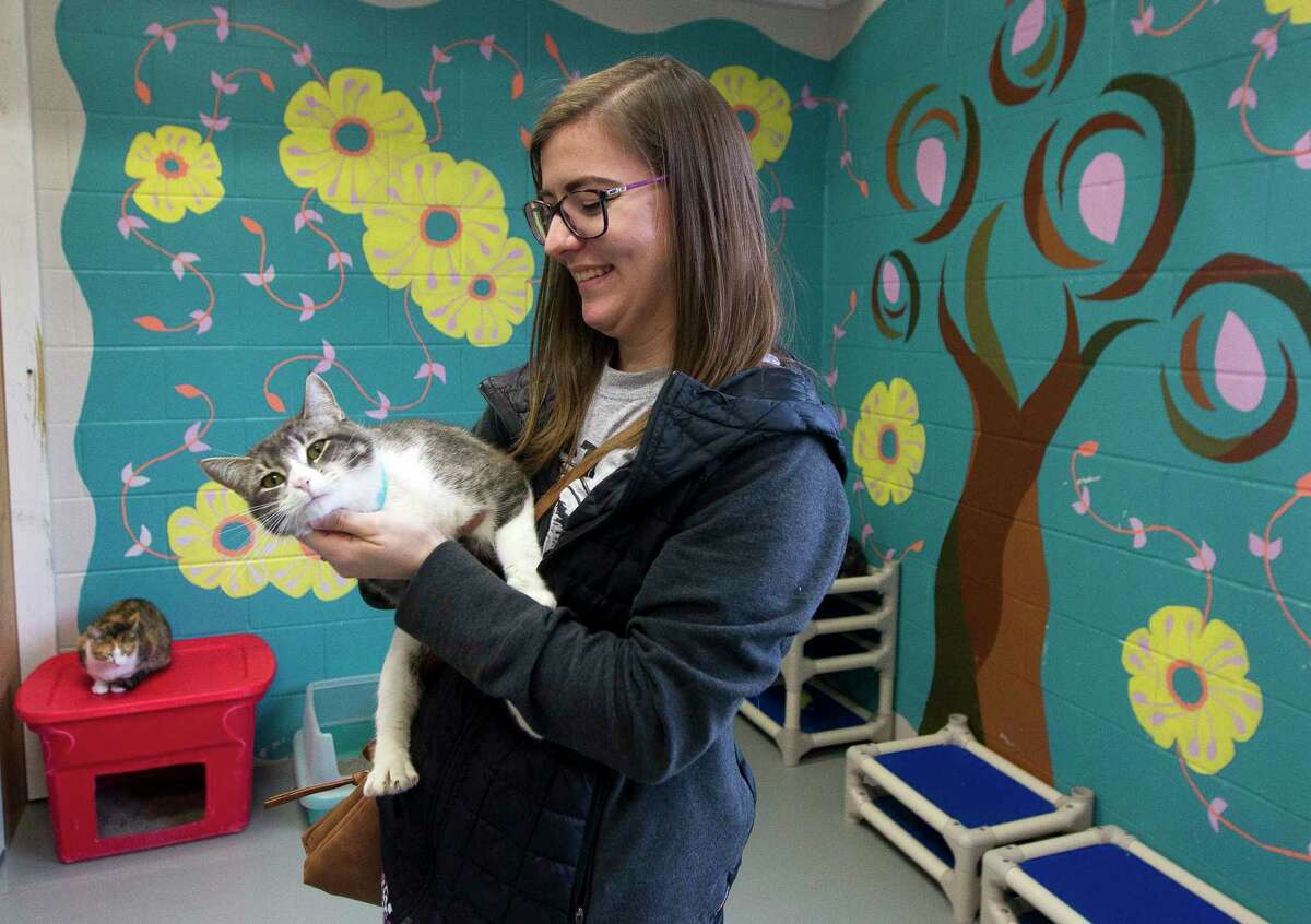 Holidays and microchips help Conroe, Montgomery County animal shelters