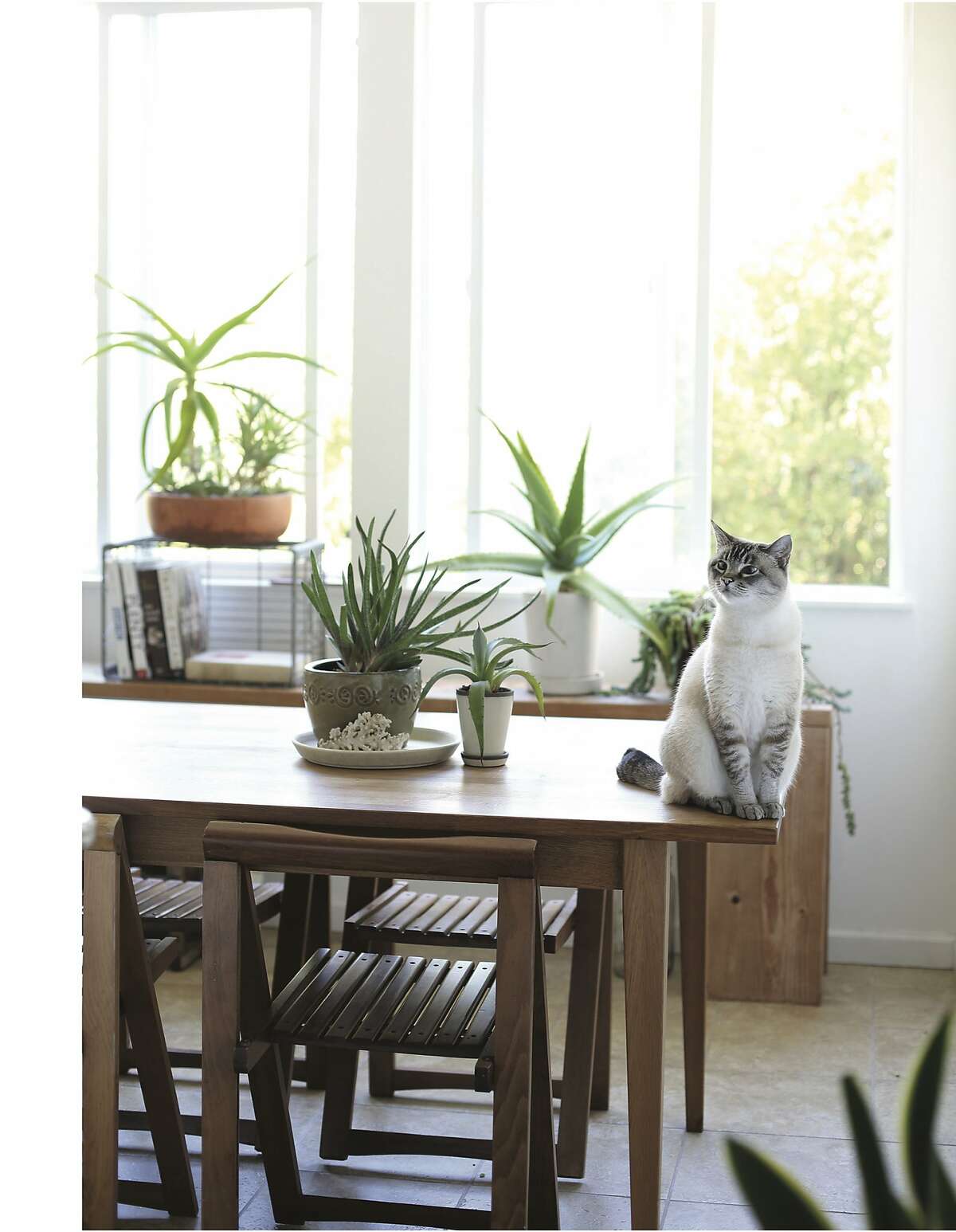 ‘Minimalist’ authors advocate getting your house in order