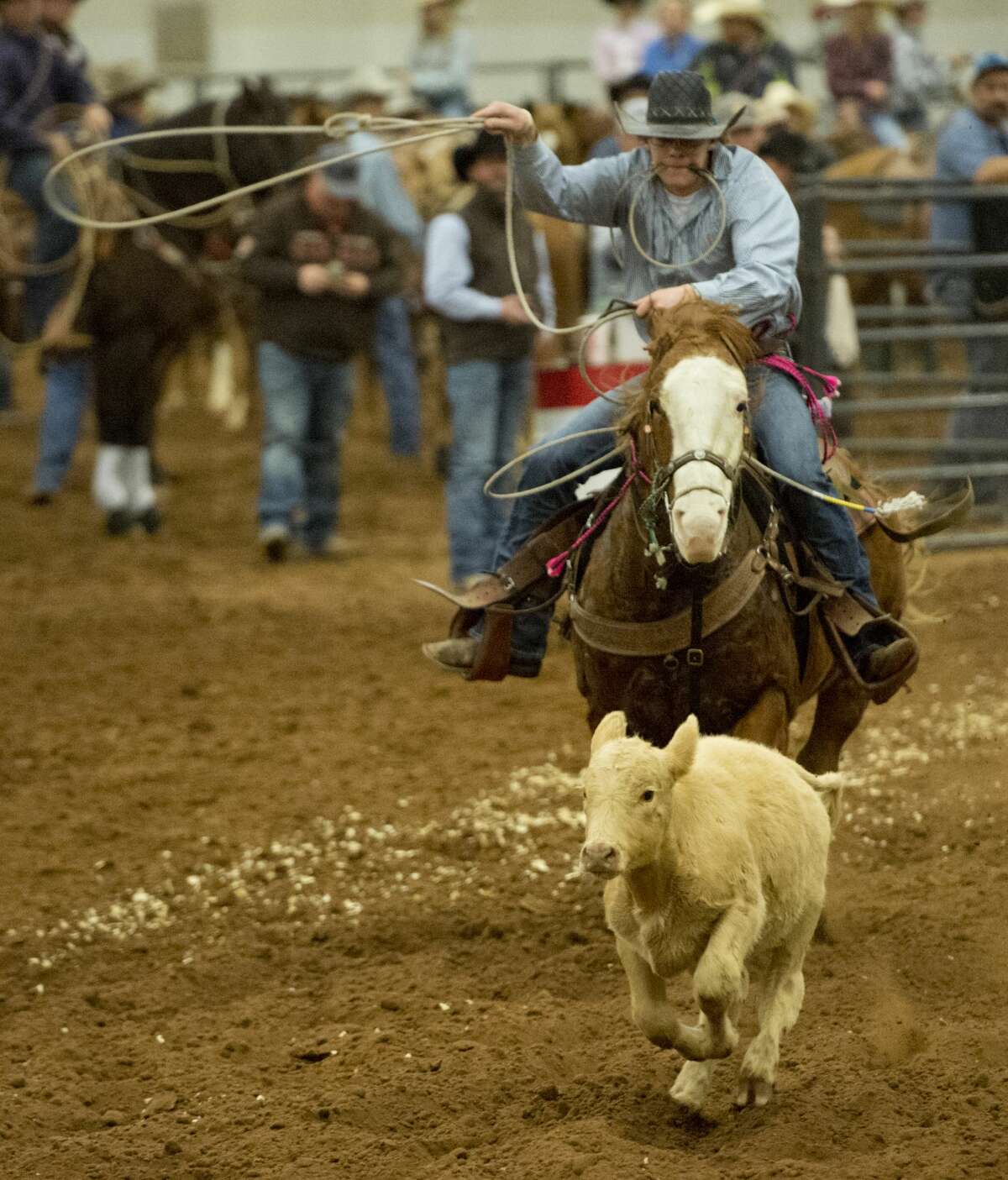 Tall City Ultimate New Year's Eve Jr. Calf Roping & Ultimate Calf ...